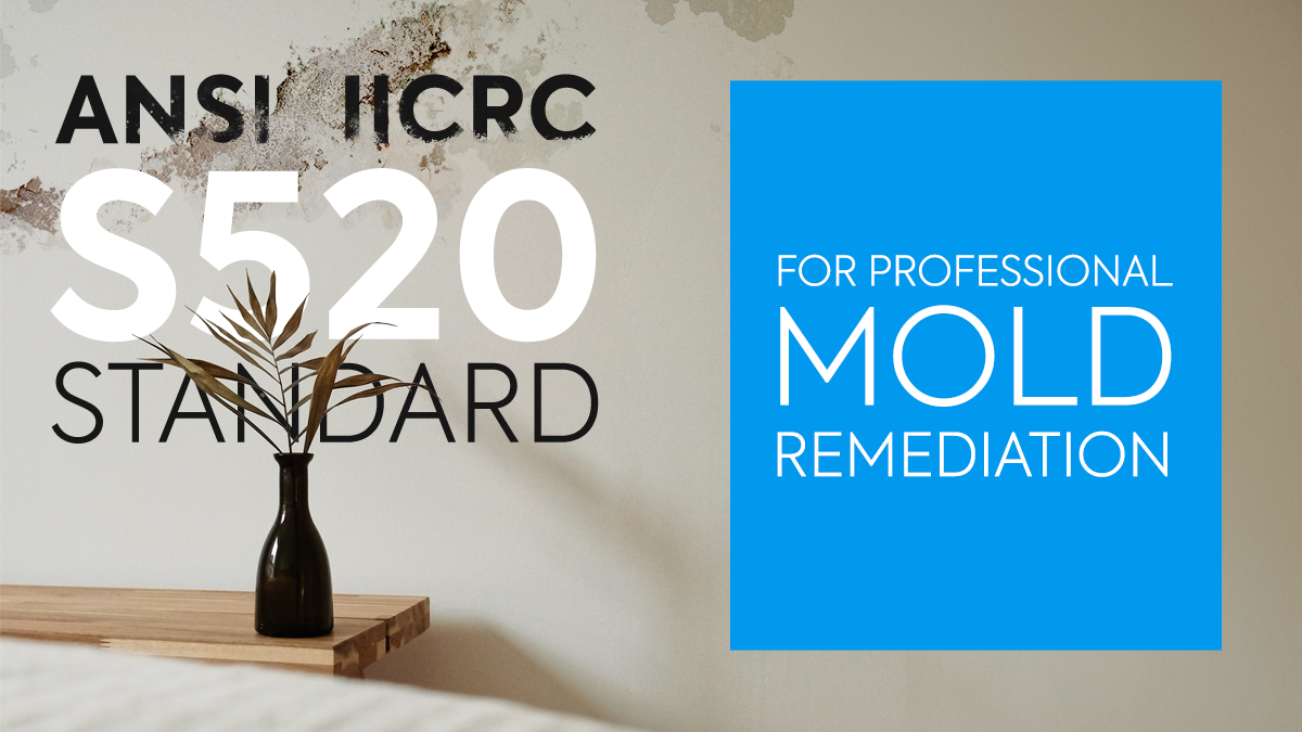 All About ANSI/IICRC S520 Standard for Professional Mold Remediation