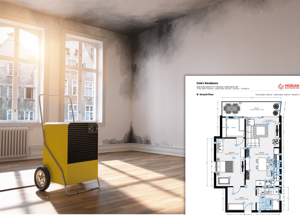 Mold | Reports & Estimates in a Matter of Minutes